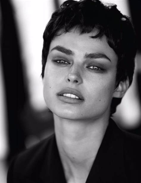 ბირჰიტ კოსი Feedc