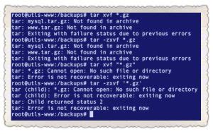 How To Extract Multiple Tar Ball Tar Gz Files On Linux Unix