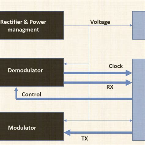 Simplified Architecture Of Rfid Chip Download Scientific Diagram