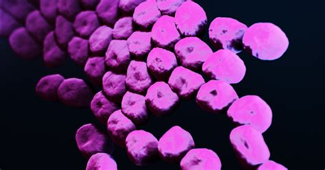 Superbug Killing New Antibiotic Is Now In Human Trials