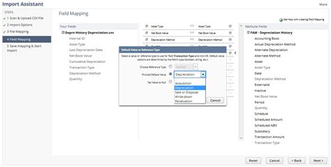 NetSuite Applications Suite Setting Default Values And Reference Types
