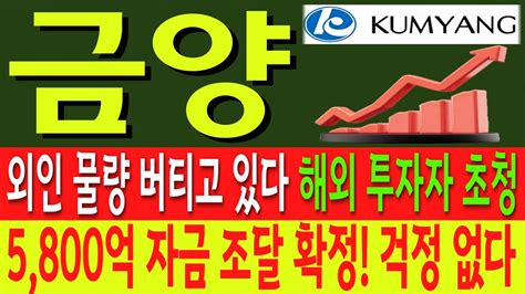 📈 금양 5800억 자금조달확정 이젠 걱정 없다 외국인의 물량 버티는 이유 해외 투자자 초청까지 장교수 Youtube