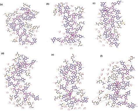 Residue Interaction At The Protein Dna Interface In The P53 Dna Download Scientific Diagram