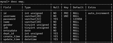 Springbootweb 篇 深入了解 Mybatis 删除、新增、更新、查询的基础操作与 Sql 预编译解决 Sql 注入问题