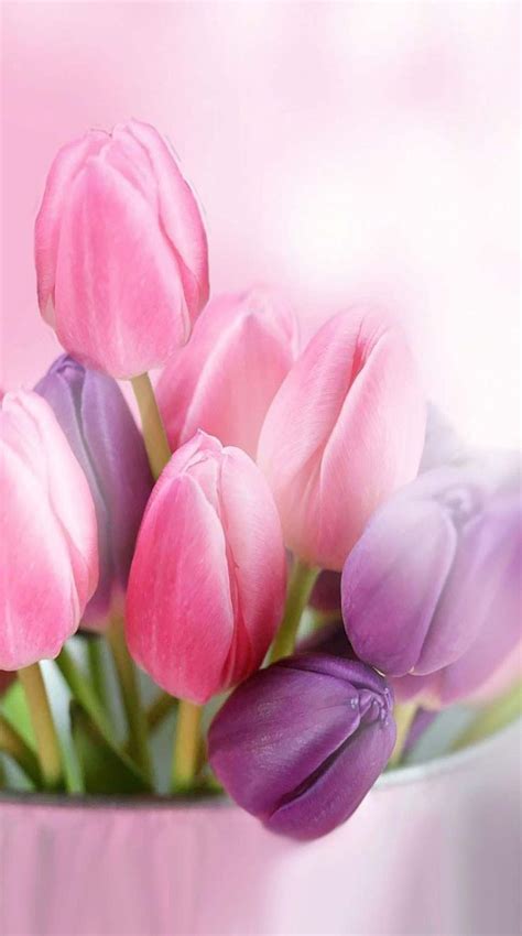 Фон Фотофон Обои Подложка Иллюстрация Картинка Сторис Телефон Эстетика Творчество Красота