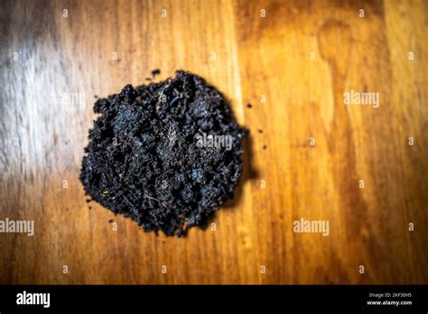 Working In A Soil Lab Iwth Soil Samples Testing A Soil Test In