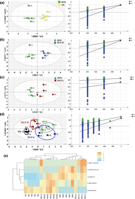 A Scores Plot Of Opls‐da Model For Hfd And Nd And Permutation Test