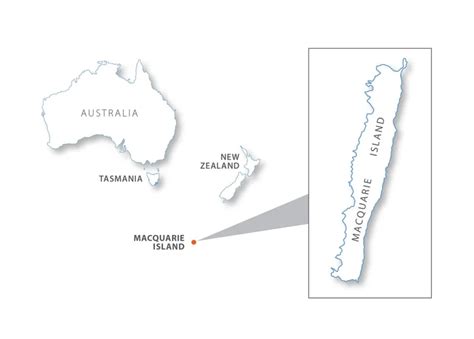 The Island — Macquarie Island Conservation Foundation