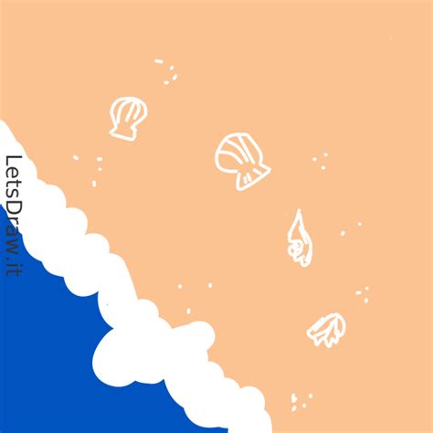 How To Draw Seashell X Fkqsq Png LetsDrawIt