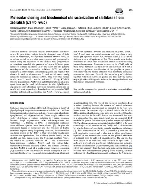 Pdf Molecular Cloning And Biochemical Characterization Of A New Mouse