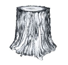Download Tree Trunk Black And White Transparent PNG