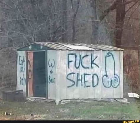 Shed Memes Best Collection Of Funny Shed Pictures On Ifunny
