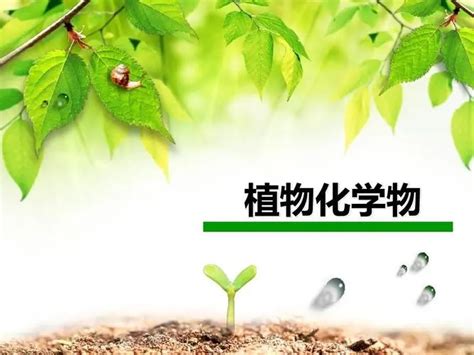 植物化学物与肾病 再造人