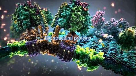 Introduction To Protein Synthesis Teaching Biology Biochemistry Protein Synthesis