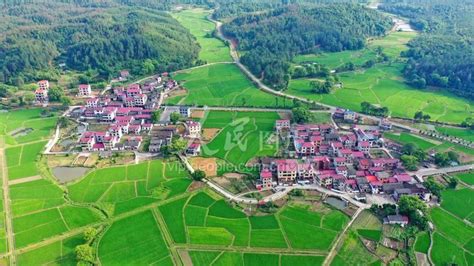 江西泰和生态田园 人民图片网