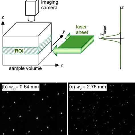 Pair Correlation Functions Determined From Experimental Images Results