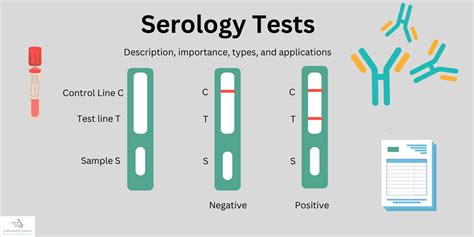 Serology Test Description Types Importance