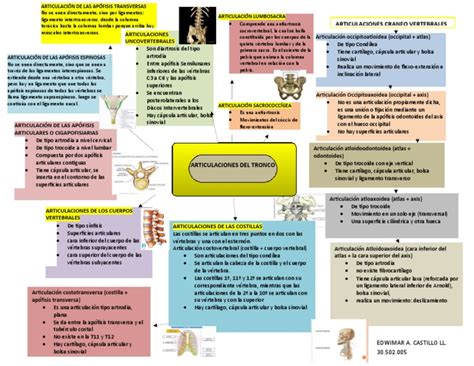 Mapa Ment Art Tronco Pdf Articulación La Columna Vertebral