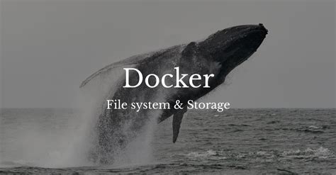 Docker File System And Storage