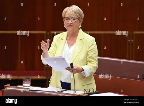 Greens Senator Barbara Pocock Speaks In The Senate Chamber At Parliament House In Canberra