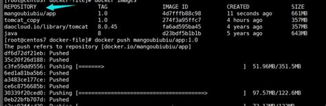 【docker】 Denied Requested Access To The Resource Is Denied Kwfruit 博客园