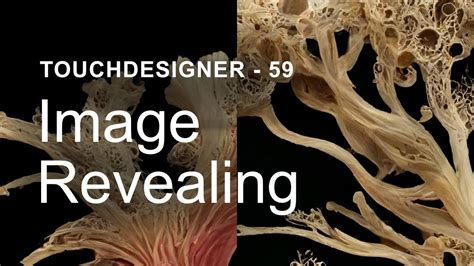 Image Revealing New Touchdesigner Tutorial 59 Youtube