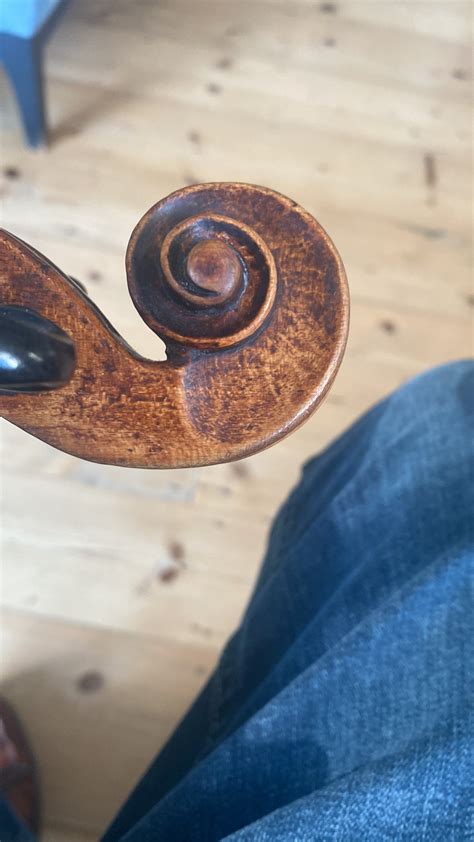 Very Distinctive Viola Scroll The Pegbox Maestronet Forums