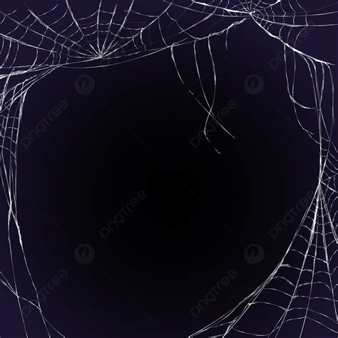 Scary Halloween Cobweb Black Background Vector Design Halloween Cobweb