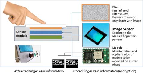 Finger Vein Authentication Process For Using Smart Phone Download