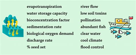 Ecosystem Services Lesson Part 2 Linking Ecosystems And Their Processes To What People Value And