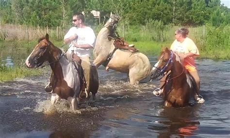 Horrifying Moment Rider Is Crushed By A Horse After It Gets Spooked