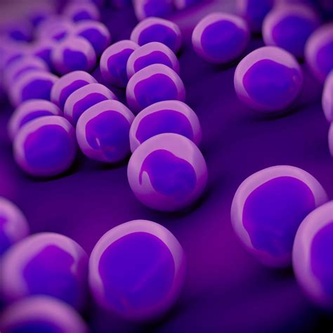 The Ultimate Guide To Staphylococcus Aureus Epicentre