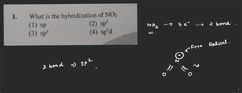 What Is The Hybridization Of No2 Filo
