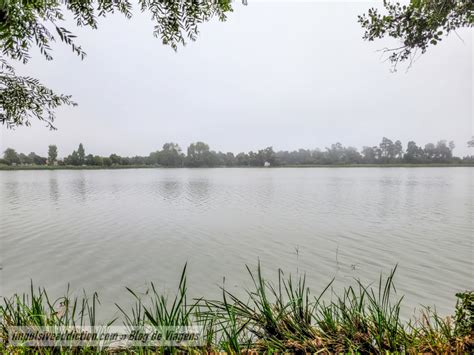 Best Things To Do In Mira Beach Portugal