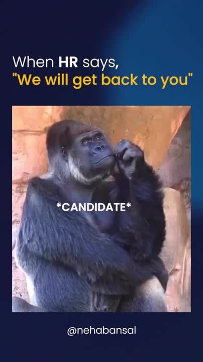 Neha Bansal Sheher On Linkedin Hr Recruitment Careeradvice