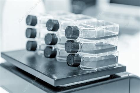 Plastic Containers In Lab Stock Image F013 1159 Science Photo Library