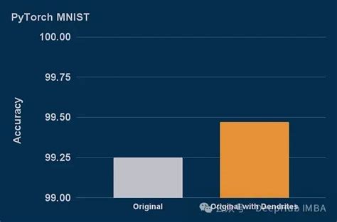 Perforated Backpropagation：神经网络优化的创新技术及pytorch使用指南 Csdn博客