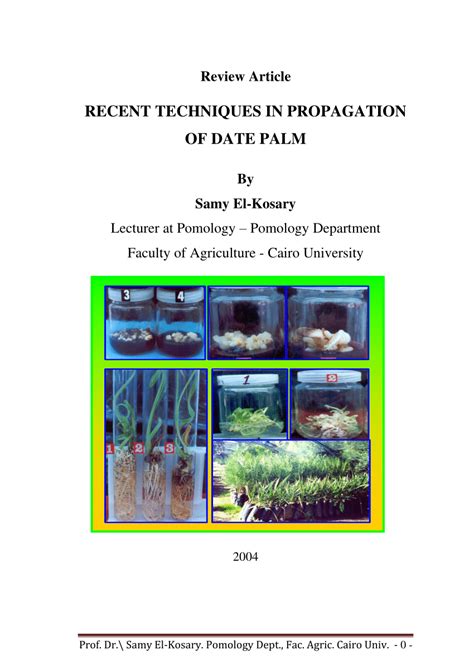 Pdf Date Palm Micropropagation