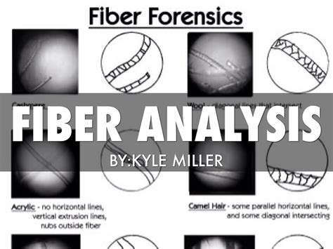 Fiber Analysis By Kyle Miller