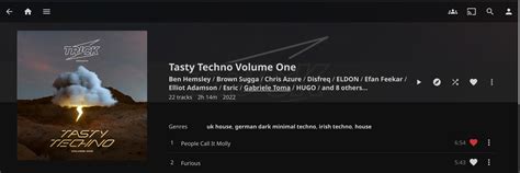 If There Are Quite A Few Artists In One Album They Overflow The Ui