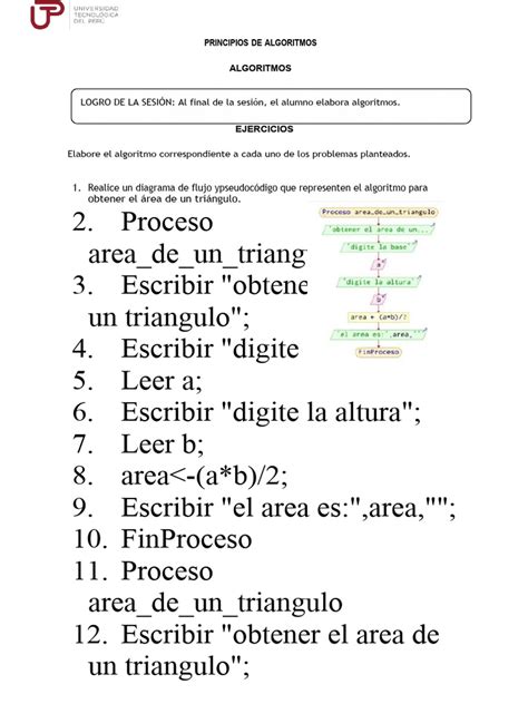 Ejercicios Semana 2 Algoritmos Pdf Algoritmos