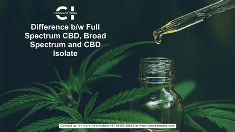 The Cbd Spectrum Full Broad Or Isolated Understanding The Differences