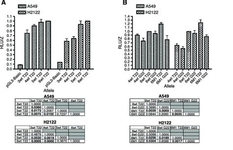 Transcriptional Activity Of Pgis Promoter Variants In Luciferase