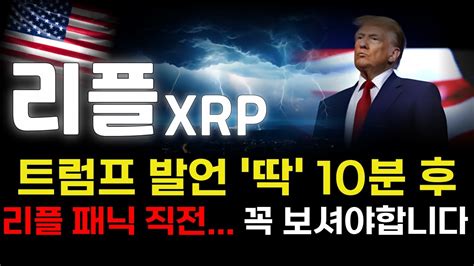 리플 코인 전망 트럼프 발언 딱 10분 후 리플 패닉 직전 꼭 보셔야합니다 Youtube