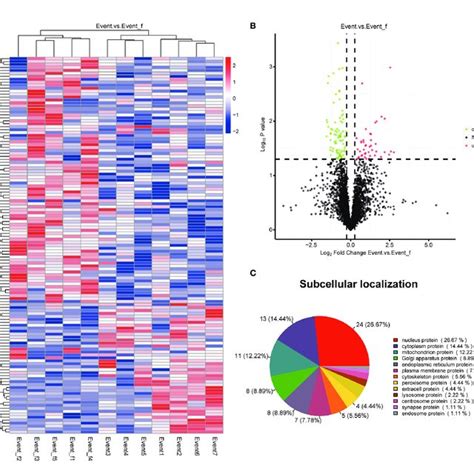 Heatmap Volcano Plot And Subcellular Localization Pie Chart Of The
