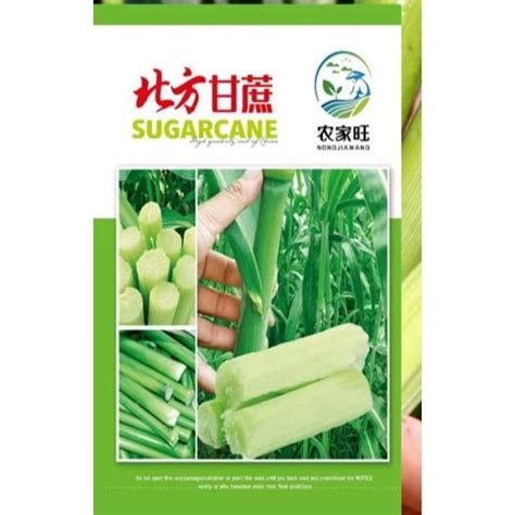 Jual Premium Pack Benih Tebu Isi 200 Biji Shopee Indonesia