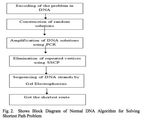 Normal Dna Algorithm For Solving Shortest Path Problem Download