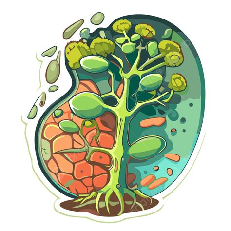 내부에 나무와 식물이 있는 스티커 일러스트 벡터 고립 된 만화 식물 세포와 스티커 디자인 상표 스티커 일러스트 Png 일러스트 및 벡터 에 대한 무료 다운로드