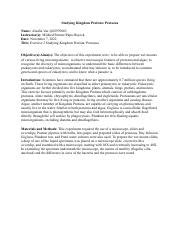 Exploring Kingdom Protista Protozoa Lab Report Course Hero