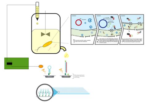 Bio Center For Bits And Atoms